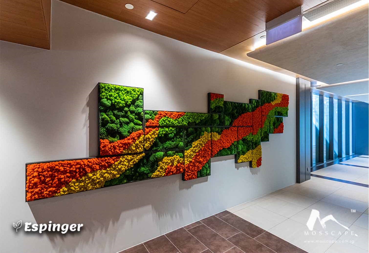 ماس وال Moss Wall چیست؟ - اسپینگر : طراح و مجری تخصصی روف گاردن