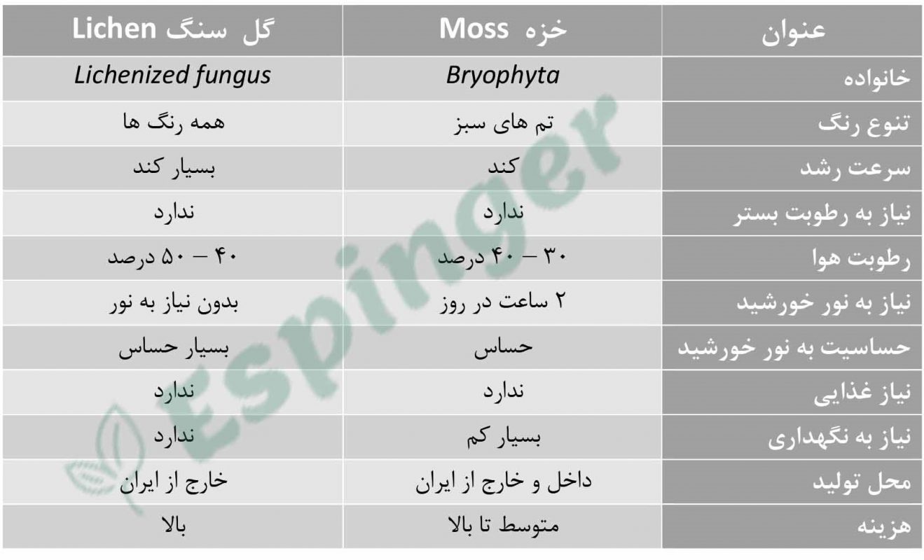 ماس وال Moss Wall چیست؟ - اسپینگر : طراح و مجری تخصصی روف گاردن